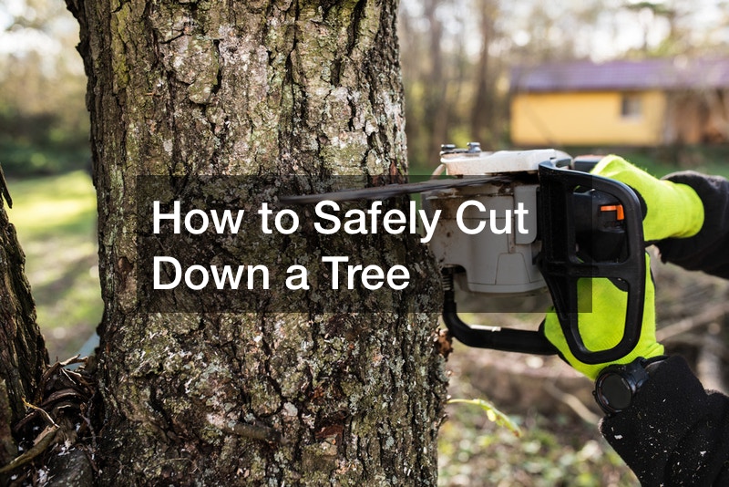How To Safely Cut Down A Tree Family Tree Websites How To Safely Cut Down A Tree Family Tree Websites